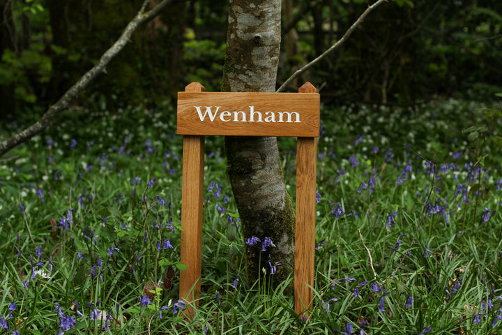 The Ultimate Guide to Installing Ground Spikes: A Complete Step-by-Ste ...