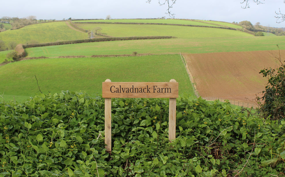 Customisable Oak Free-Standing House Signs | Grain Designs