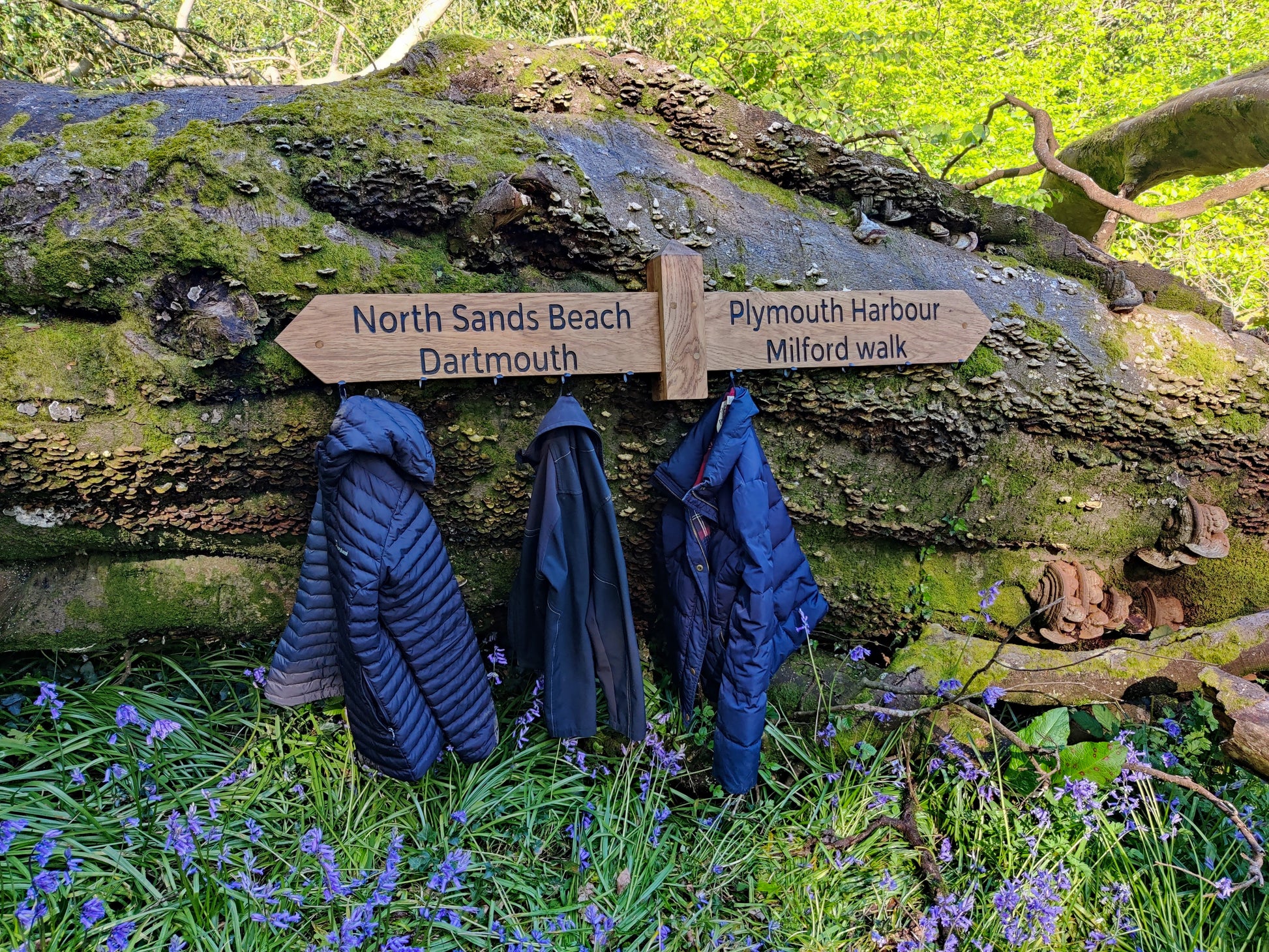 Double Directional Footpath Coat Rack | Grain Designs